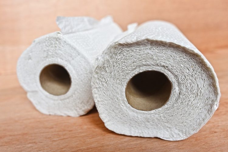 Can I compost paper towels? – Compost Guide