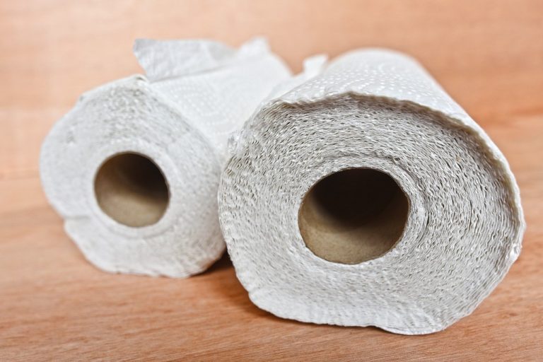 Can I compost paper towels? – Compost Guide