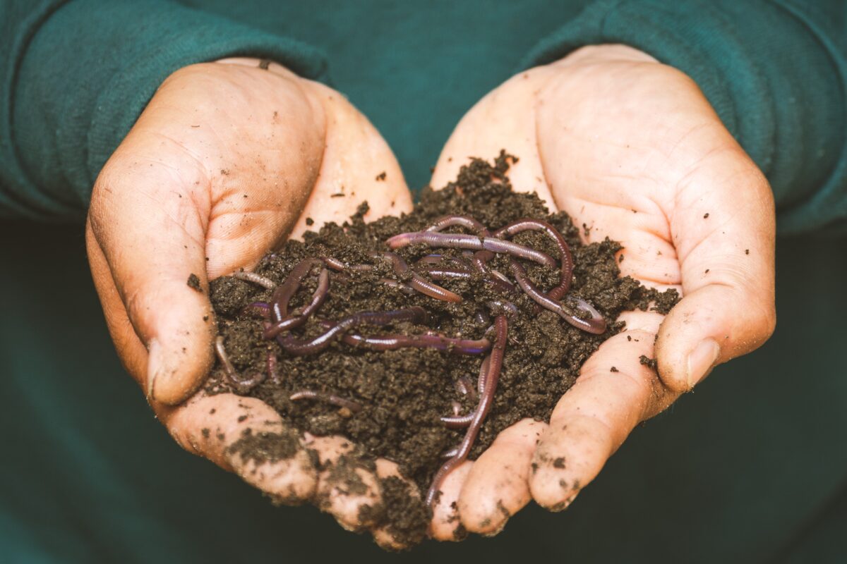 How Composting Has Gone High Tech? – Compost Guide